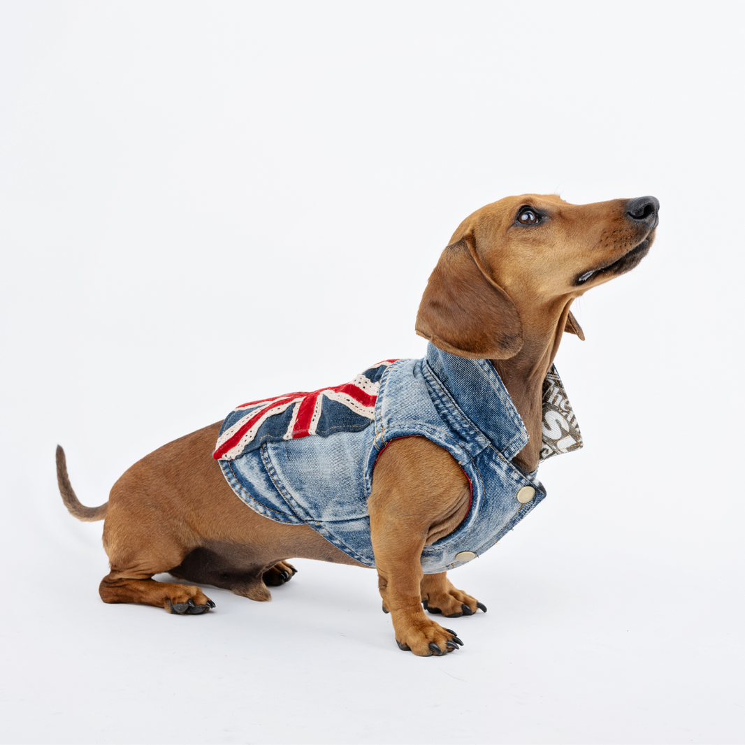 Bespoke Collection – tagged "bespoke-jackets" – Swagga